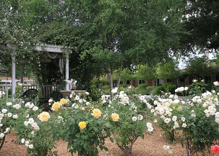 Solvang Hotels | Discover 21 Top Stays for Your Visit